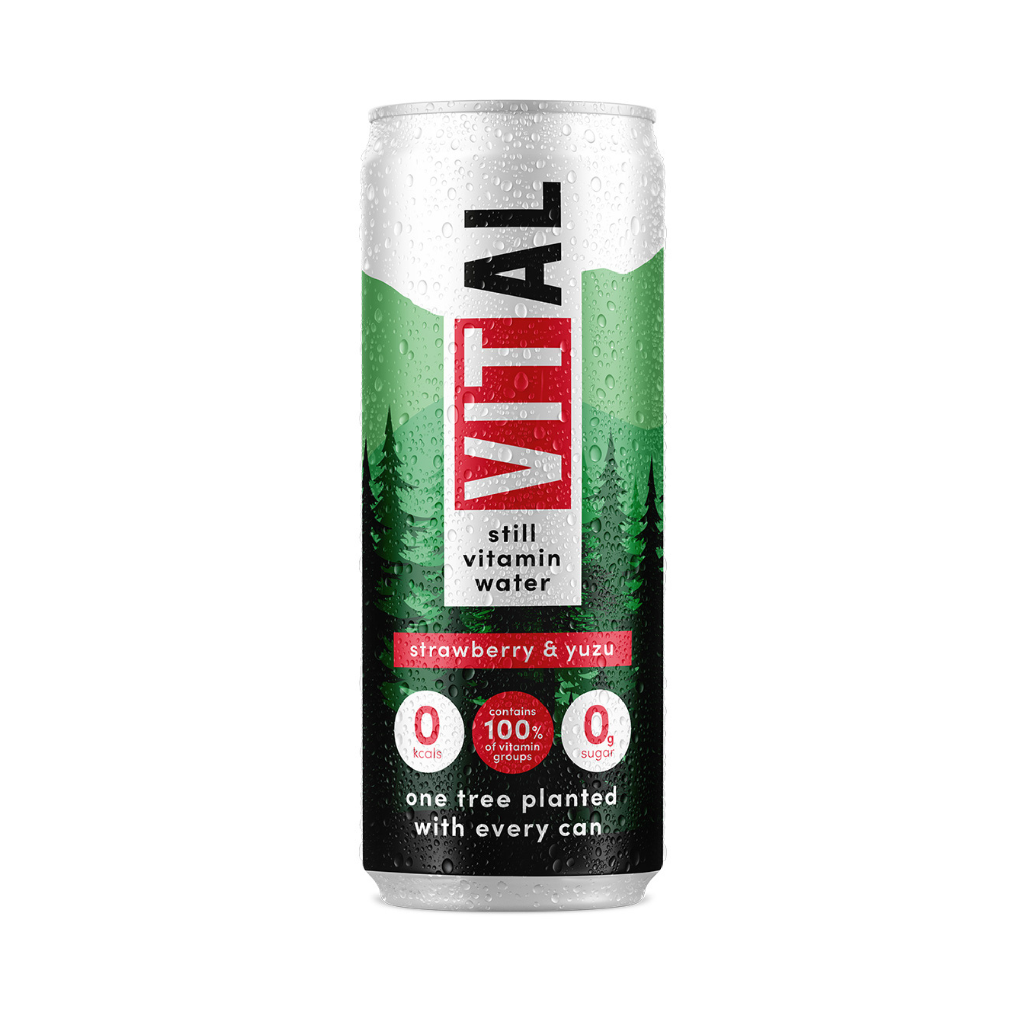 Monthly Offers - Bean 14 : Bean 14